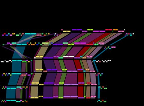 Maintenance Of Synteny And Function In Representative Genomes The Download Scientific Diagram