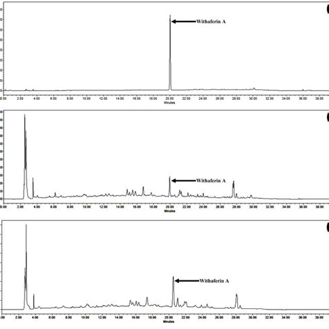 Hplc Chromatogram Of Withaferin A A Chromatogram Of Standard