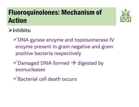 Antimicrobial Agents Protein Synthesis Inhibitors And Dna Gyrase