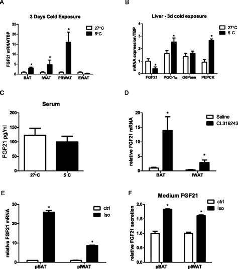 Fgf21 Regulates Pgc 1α And Browning Of White Adipose Tissues In
