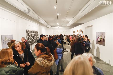 A Rede Museística De Lugo Referente Internacional Da Museoloxía Social