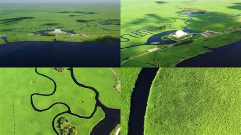 扎龙国际自然保护区丹顶鹤湿地航拍 视频素材下载