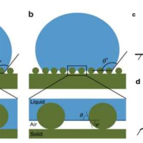Schematic Of A Liquid Droplet In Contact With Different Kinds Of