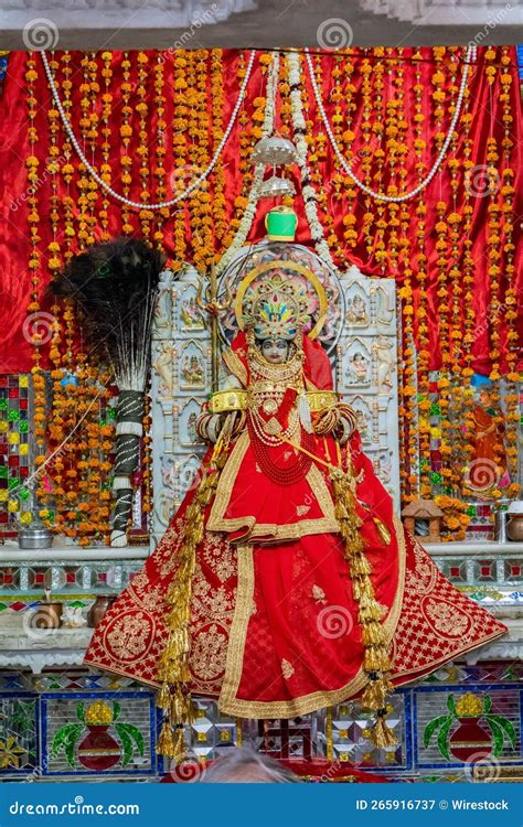 Vertical Shot Of A Goddess Sculpture Inside The Karni Mata Temple In