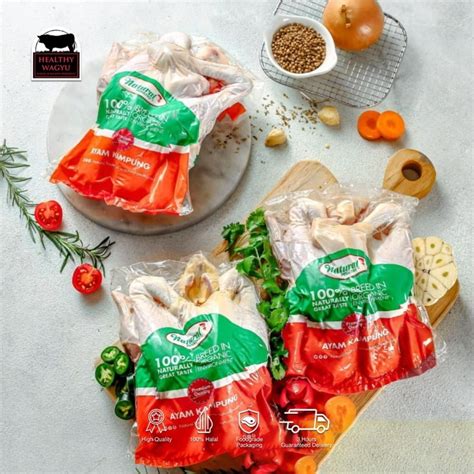 Paket 3 Ayam Kampung Probiotik Natural Poultry Healthy Wagyu