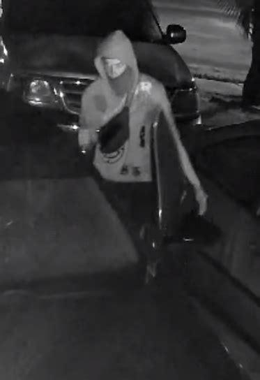 Help Solve A Crime Burglary Spree New Port Richey Pasco Sheriffs