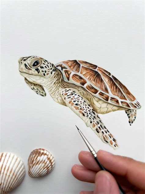Green Sea Turtle Illustration Sea Turtle Watercolor Sea Turtle