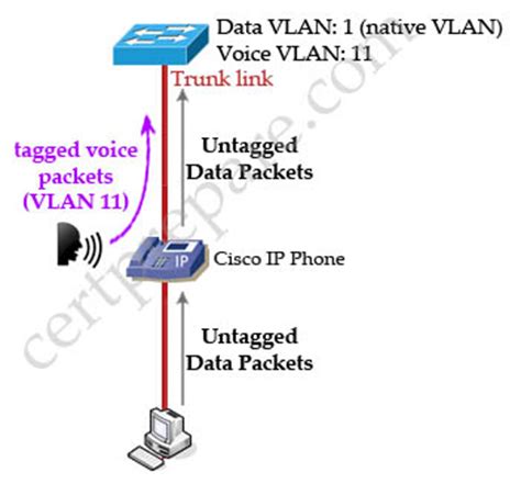 ENSDWI Training VLAN Trunking