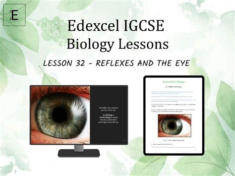 Edexcel Igcse Biology Lesson 32 Reflexes And The Eye Teaching Resources