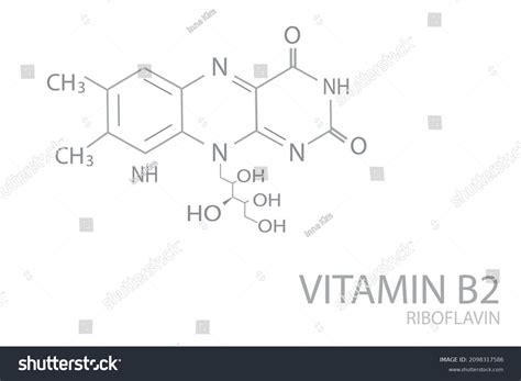 Vitamin B Riboflavin Molecular Skeletal Chemical Stock Vector Royalty Free