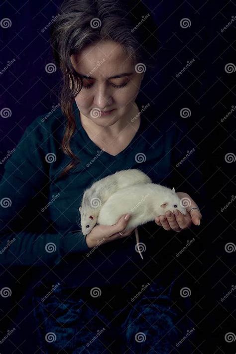 An Albino Standard Rat And Albino Standard Rat Cuddles With Theie Owner