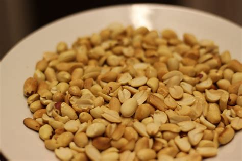 Eating Gnuts Daily Boosts Sperm Count And Quality Spurzine