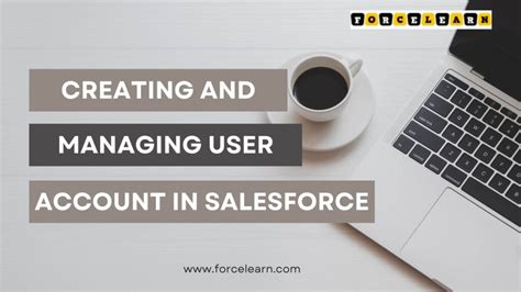 Creating And Managing User Account In Salesforce ForceLearn