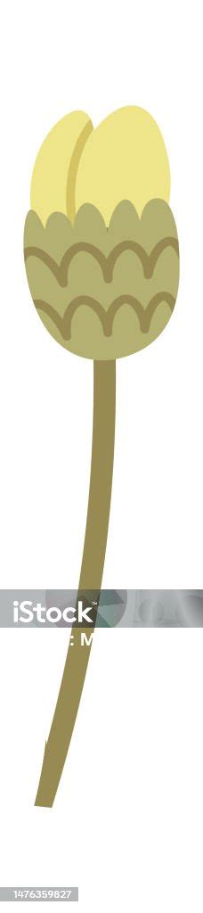 Wildflowers On Stem Stock Illustration Download Image Now Blossom