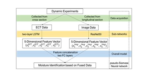 Moisture Classification Of Gassolid Two Phase Flow Based On A Pseudo Siamese Neural Network