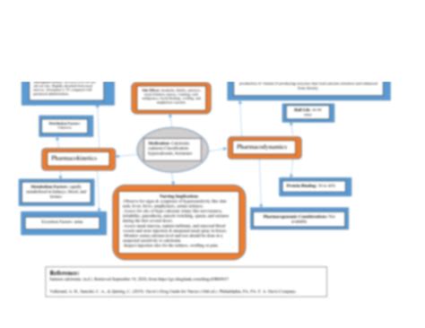 SOLUTION Module 2 Concept Map Worksheet Studypool
