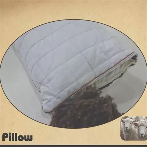 غرفه‌ Dr.wool | باسلام