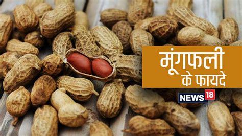 Peanut Benefits सर्दियों के मौसम में अगर न खा पाएं बादाम तो मूंगफली से