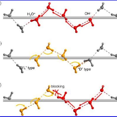 Illustration Of A Ionic Defect Migration By Proton Hopping B Download Scientific Diagram