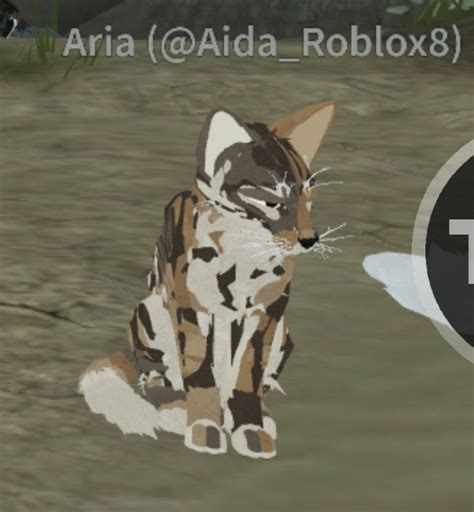 Pin By My World On Wc Morphs In 2022 Warrior Cats Art Warrior Cats