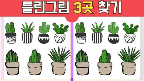 기억력 향상 프로젝트 다양한 선인장 화분 틀린그림찾기 Find The 3 Differences 집중력 기억력 다른그림 치매예방 닥터퀴즈 Youtube