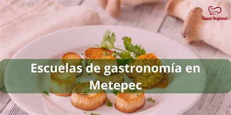 Las Mejores Escuelas De Gastronomía En Metepec Todas Las Universidades