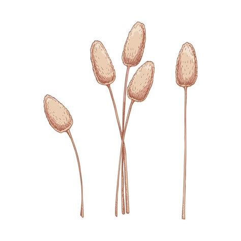 Grass Sketch Vector Art Icons And Graphics For Free Download