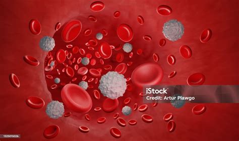 백색과 적혈구 3d 일러스트 백혈병에 대한 스톡 사진 및 기타 이미지 백혈병 백혈구 빨강 Istock