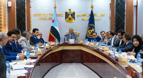 المجلس الانتقالي