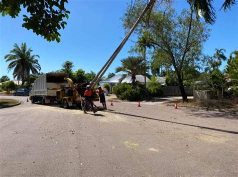 Springfield Tree Service Certified Tree Service Professional