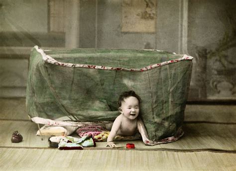 Japanese Nursery Nat Geo Photo Of The Day National Geographic