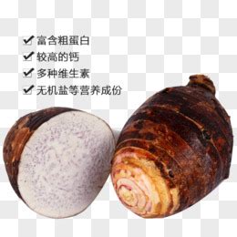芋头图片素材 免费芋头PNG设计图片大全 图精灵