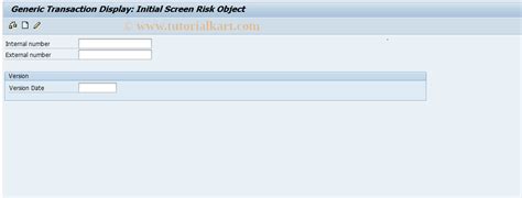 Rca Sap Tcode Display Risk Object Transaction Code