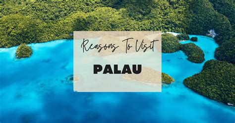 Reasons To Visit Palau At Least Once In Your Lifetime Bucketlist
