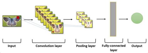 Convolutional Neural Network Architecture Download Scientific Diagram