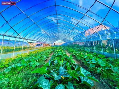 Нисэх морингийн даваанд 3 ногооны хүлэмжтэй 2 айлын хашаа байшин 150 сая ₮ №8488135 УБ — Хан