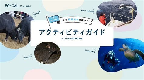 藤原紀香さんが夫愛之助さんのルーツの島に夢中旅色FO CAL徳之島町特集公開 NEWSCAST