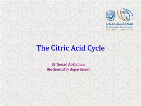 Ppt The Citric Acid Cycle Powerpoint Presentation Free Download Id