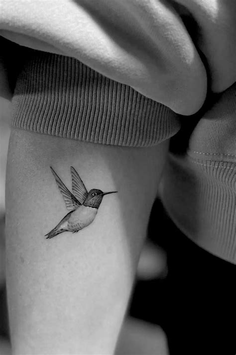 Significado De Colibri En Tatuajes Tattoos For Guys Hummingbird