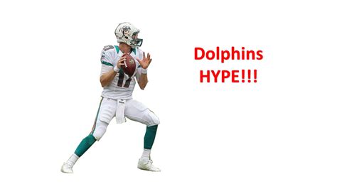 Dolphins 2016 Season Album On Imgur