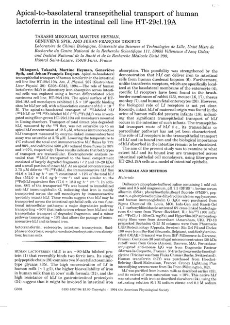 Pdf Apical To Basolateral Transepithelial Transport Of Human Lactoferrin In The Intestinal