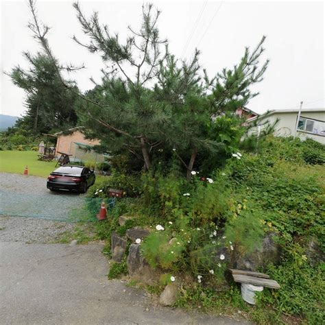 가평군 상면 파트라슈 애견 펜션 펜션 우리동네 정보마켓