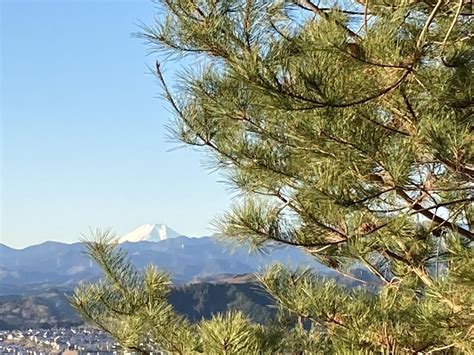 日和田山 山なせもさんの日和田山・物見山の活動データ Yamap ヤマップ