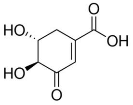Hplc Dehydroshikimic Acid