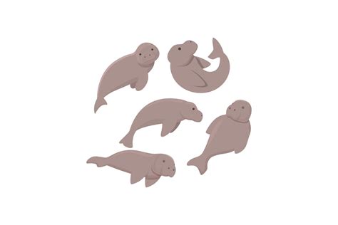 Dugong Graphic By Pintesagraphic · Creative Fabrica