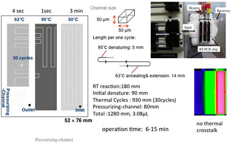 Sensors Free Full Text Printable Electrochemical Biosensors A