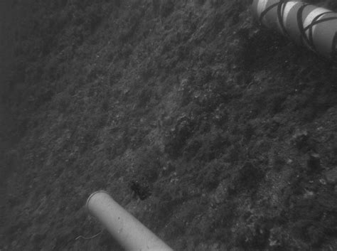 Underwater Pipe Object Detection Dataset By New Workspace E5fhh