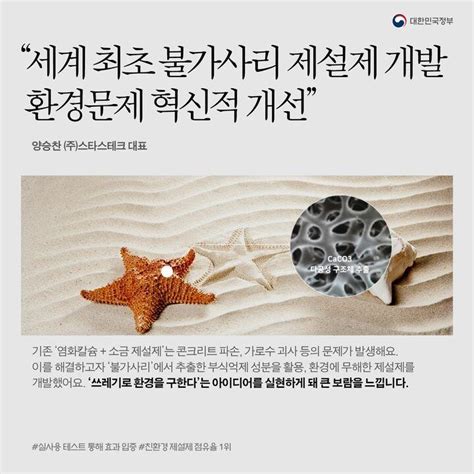 바다의 해적 불가사리 근황류 甲 유머 게시판
