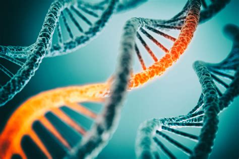 Biología molecular en qué consiste esta disciplina Muy Salud