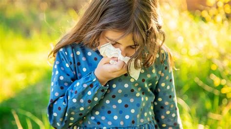 Expert Explains Myths And Facts Related To Allergies Onlymyhealth